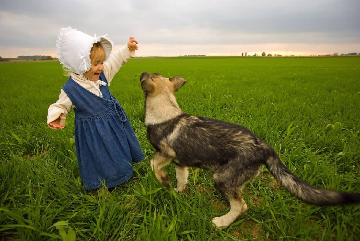 Can Animals Be Born With The ADHD Syndrome (Attention Deficit ...