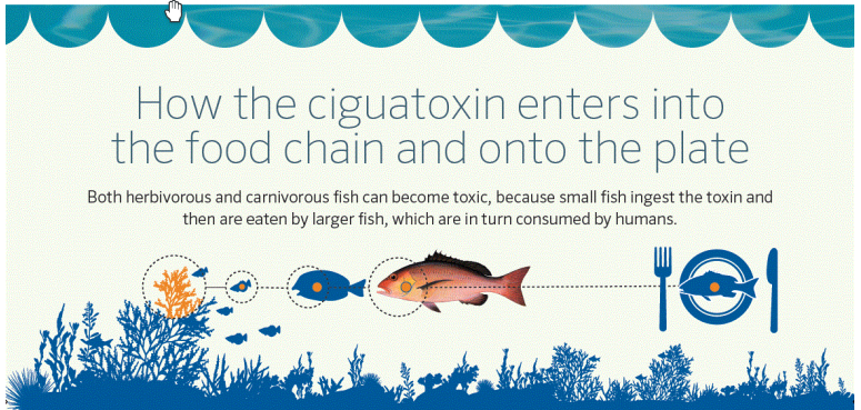 Detecting And Treating Ciguatera Fish Poisoning - Ask The Nurse Expert