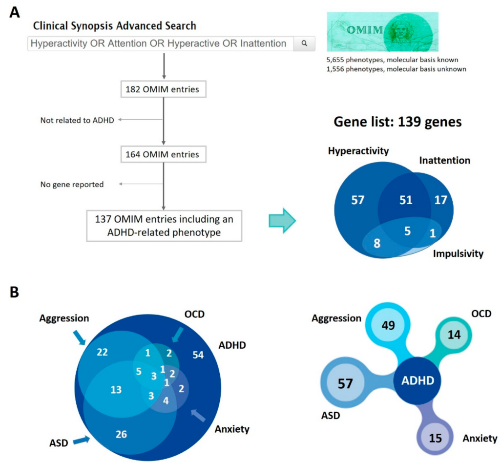 Exploring The Causes Of ADHD - Ask The Nurse Expert