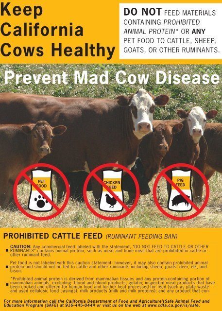 How To Prevent Mad Cow Disease - Ask The Nurse Expert