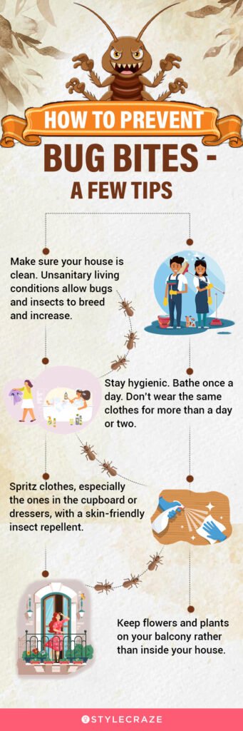 How To Prevent Spider Bites - Ask The Nurse Expert