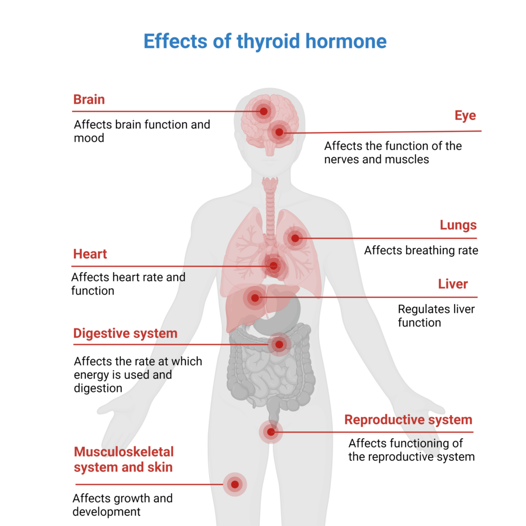 How To Prevent Thyroid Disorders - Ask The Nurse Expert