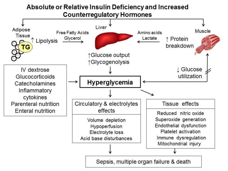 Hyperglycemia And Diabetes: A Comprehensive Guide - Ask The Nurse Expert