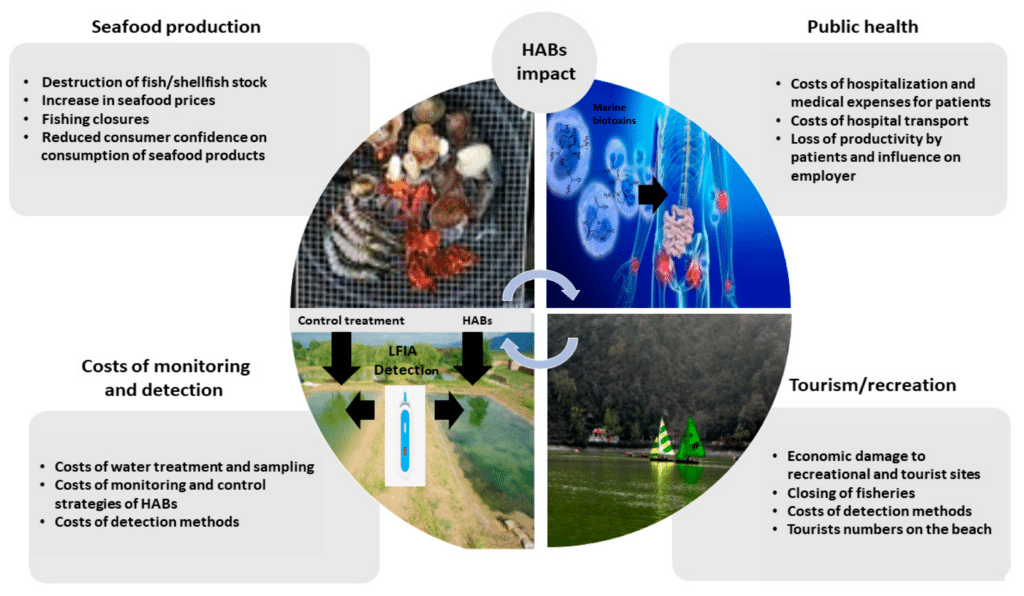 Managing Marine Biotoxins in Seafood and Preventing Related Illnesses ...