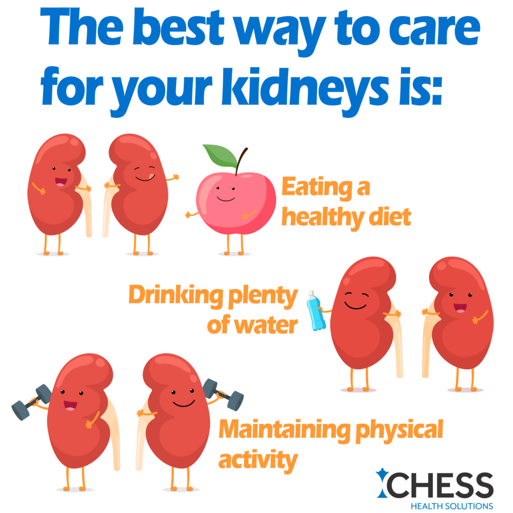 Preventing Acute Renal Failure: Tips For Kidney Health - Ask The Nurse ...