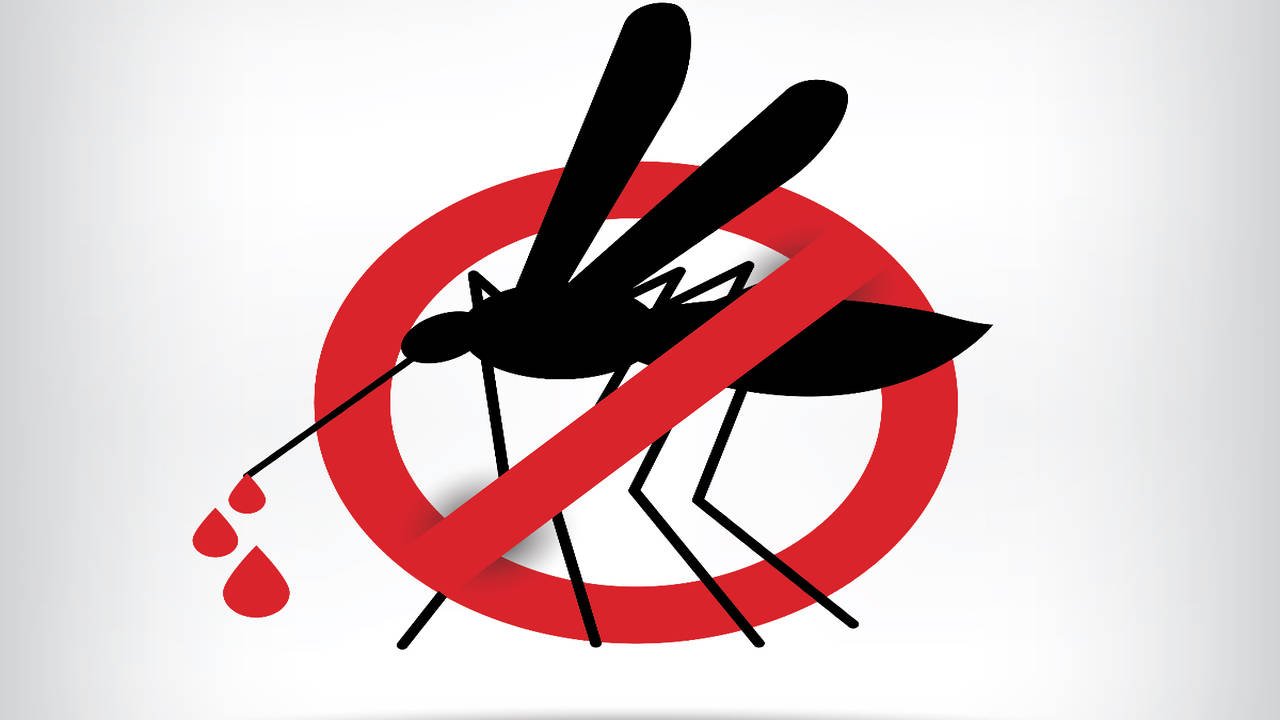 Stay Safe: Tips For Protecting Yourself From Dengue - Ask The Nurse Expert