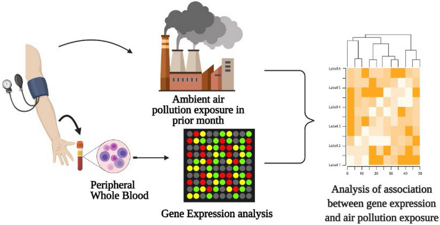 The Impact Of Air Pollution On Bronchitis: A Comprehensive Study - Ask ...