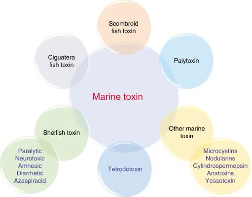 Understanding Marine Biotoxins And Their Impact On Human Health - Ask ...