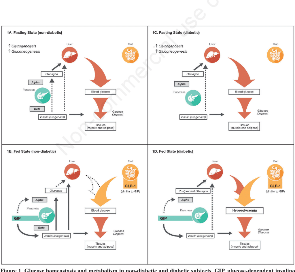 Postprandial Hyperglycemia Treatment - Ask The Nurse Expert
