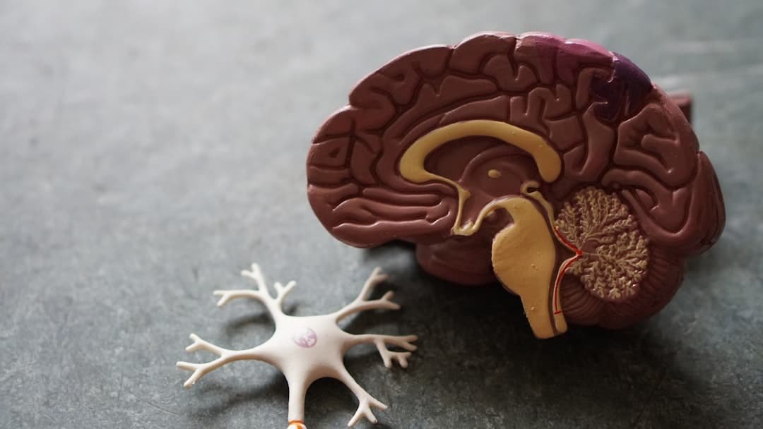 Improve Memory Medicine - Ask The Nurse Expert